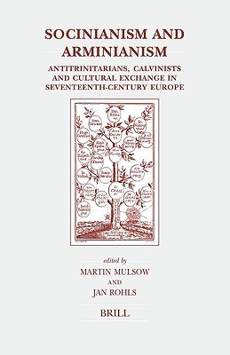 Socinianism And Arminianism: Antitrinitarians, Calvinists, And Cultural ...