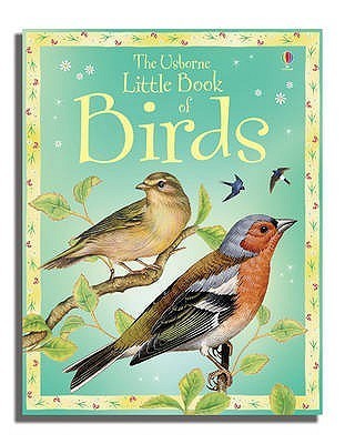 Usborne Little Book of Birds by Sarah Khan | Goodreads