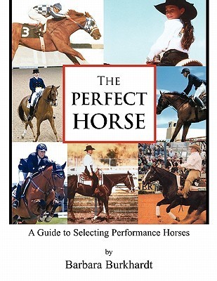 The Perfect Horse by Barbara Burkhardt | Goodreads