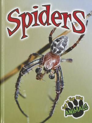 Spiders (Eye To Eye With Animals) by Don McLeese | Goodreads