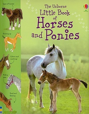 The Usborne Little Book of Horses and Ponies by Stephen Lambert | Goodreads