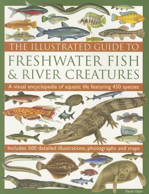 The Illustrated Guide to Freshwater Fish & River Creatures: A visual ...