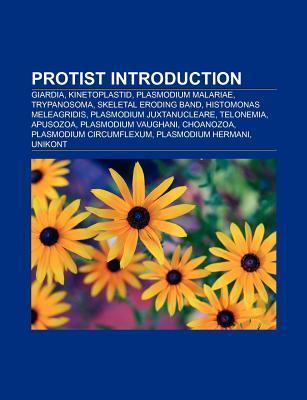 Protist Introduction: Skeletal Eroding Band, Trypanosoma, Arcellinida ...