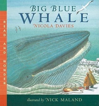 Big Blue Whale (Read and Wonder (Pb)) by Nicola Davies Nick Maland ...
