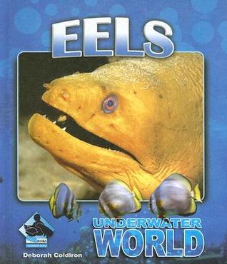 Eels (Underwater World) by Deborah Coldiron | Goodreads