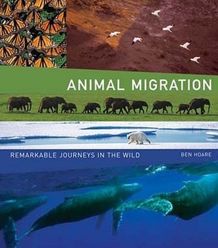 Animal Migration: Remarkable Journeys in the Wild by Ben Hoare | Goodreads