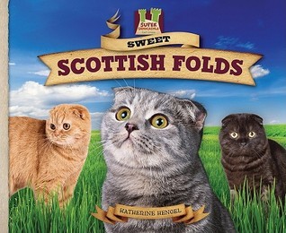 Sweet Scottish Folds (Cat Craze) by Katherine Hengel | Goodreads