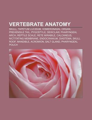 Vertebrate Anatomy: Skull, Tapetum Lucidum, Vomeronasal Organ ...