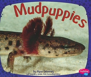 Mudpuppies (Amphibians) (Pebble Plus: Amphibians) by Alyse Sweeney ...