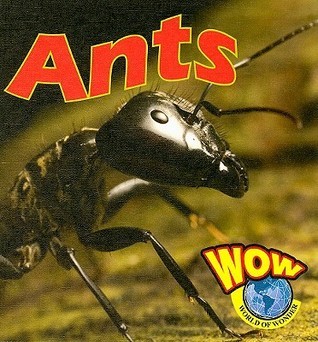 Ants (World of Wonder) by Heather C. Hudak | Goodreads