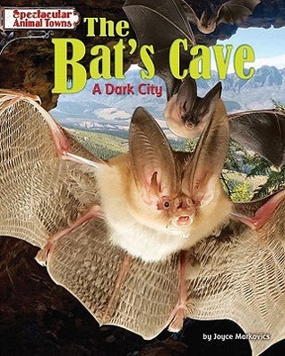 The Bat's Cave: A Dark City by Joyce L. Markovics | Goodreads
