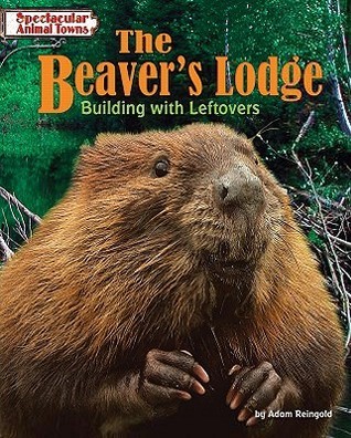 The Beaver's Lodge: Building with Leftovers by Adam Reingold | Goodreads