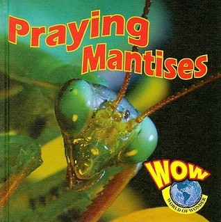 Praying Mantises (World of Wonder) by Heather C. Hudak | Goodreads
