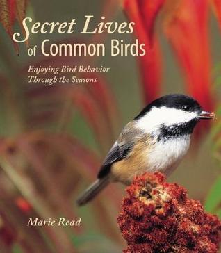 Secret Lives Of Common Birds: Enjoying Bird Behavior Through the ...