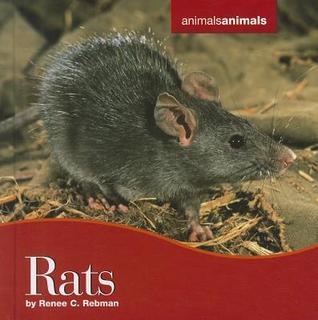 Rats (Animals Animals) by Renee C. Rebman | Goodreads