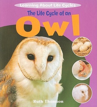 The Life Cycle of an Owl (Learning About Life Cycles) by Ruth Thomson ...