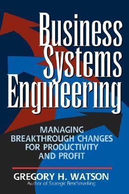 Business Systems Engineering: Managing Breakthrough Changes for ...