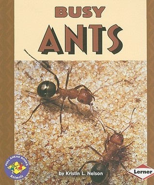 Busy Ants (Pull Ahead Books ― Animals) by Kristin L. Nelson | Goodreads