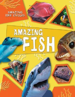 Amazing Fish (Amazing Life Cycles) by Honor Head | Goodreads