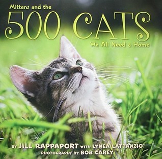 500 Cats by Jill Rappaport | Goodreads