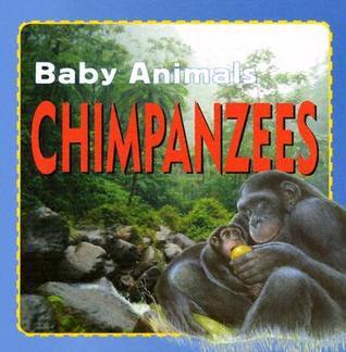 Chimpanzees (Baby Animals) by Kate Petty | Goodreads