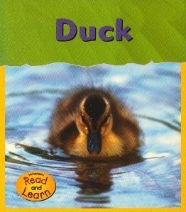 Duck (Life Cycles/Read & Learn) by Louise Spilsbury | Goodreads
