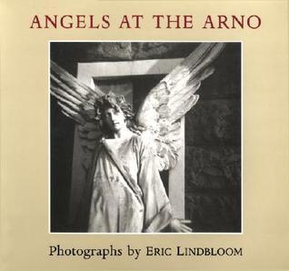 Angels at the Arno (Imago Mundi Book) by Eric Lindbloom | Goodreads