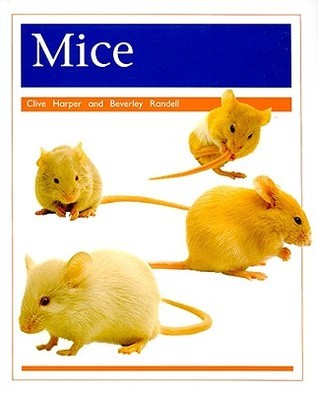 Pets: Mice: Individual Student Edition Orange (Levels 15-16) by Rigby ...