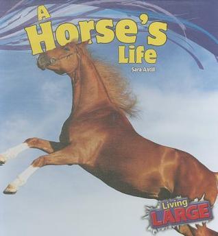 A Horse's Life (Living Large) by Sara Antill | Goodreads