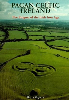 Pagan Celtic Ireland: The Enigma of the Irish Iron Age by Barry Raftery ...