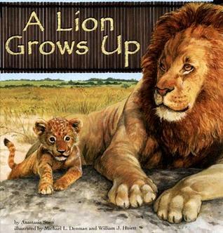 A Lion Grows Up (Wild Animals) by Anastasia Suen | Goodreads