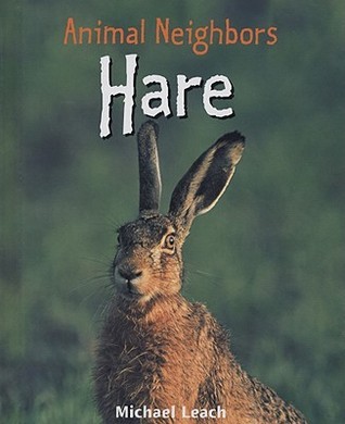 Hare (Animal Neighbors) by Michael Leach | Goodreads