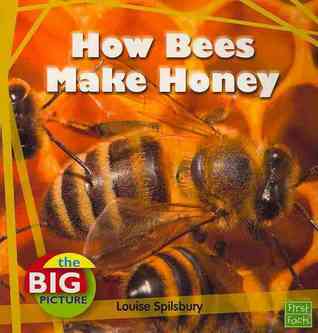 How Bees Make Honey (The Big Picture: Food) by Louise Spilsbury | Goodreads