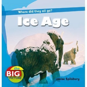 Ice Age: Where Did They All Go? (The Big Picture) by Louise Spilsbury ...