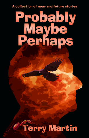 Probably Maybe Perhaps by Terry Martin | Goodreads