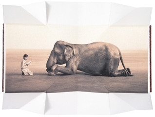 Boy reading to elephant (fold out book) by Gregory Colbert | Goodreads