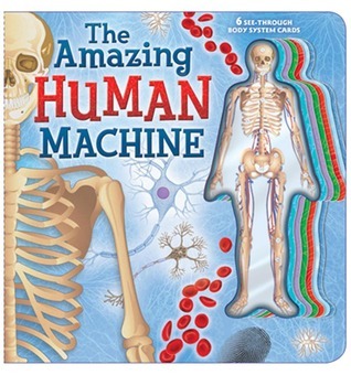 The Amazing Human Machine: Book with Acetate Body System Cards by Lori ...