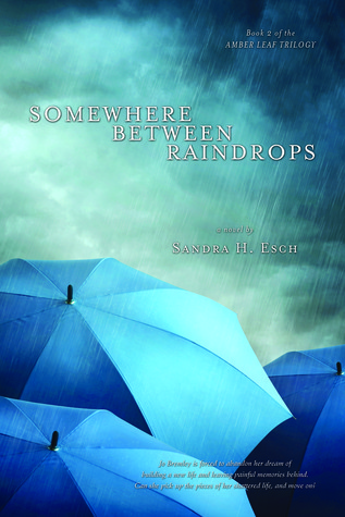Somewhere Between Raindrops by Sandra H. Esch | Goodreads