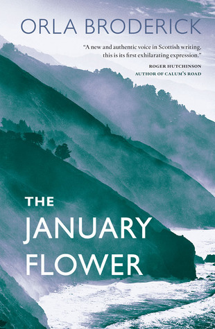 The January Flower by Orla Broderick | Goodreads
