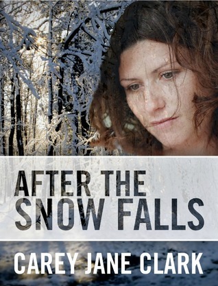 After the Snow Falls by Carey Jane Clark | Goodreads
