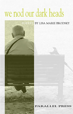 We Nod Our Dark Heads by Lisa Marie Brodsky | Goodreads