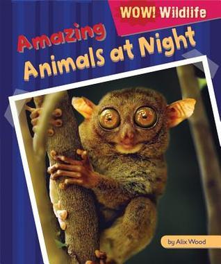 Amazing Animals at Night (Wow Wildlife) by Alix Wood | Goodreads