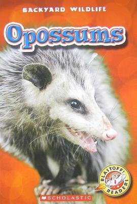 Opossums by Emily K. Green | Goodreads
