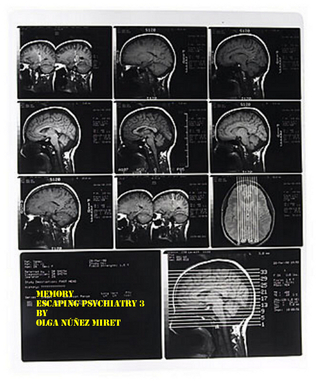 Memory (Escaping Psychiatry, #3) by Olga Núñez Miret | Goodreads