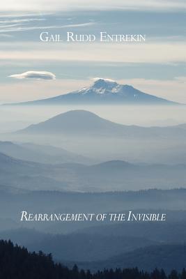 Rearrangement of the Invisible by Gail Rudd Entrekin | Goodreads
