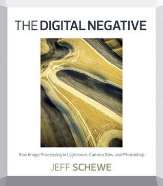 The Digital Negative: Raw Image Processing in Lightroom, Camera Raw ...