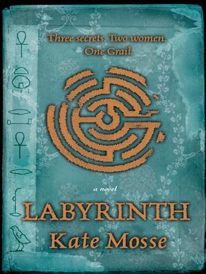 Labyrinth by Kate Mosse | Goodreads