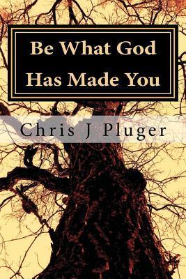 Be What God Has Made You: Living Your Identity In Christ by Chris J ...