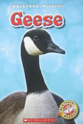 Geese by Megan Borgert-Spaniol | Goodreads