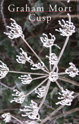 Cusp by Graham Mort | Goodreads